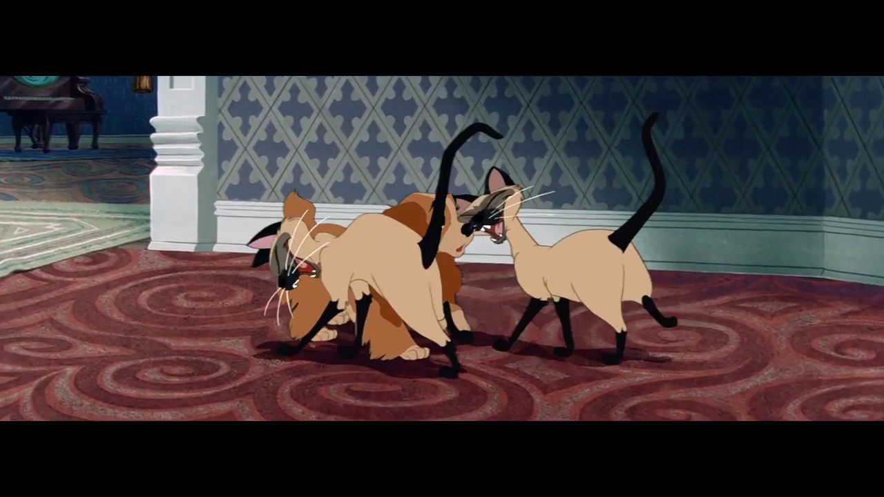 We Are Siamese - YouTube