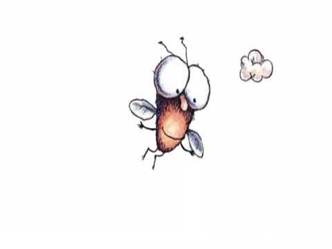 Hi fly guy. - YouTube