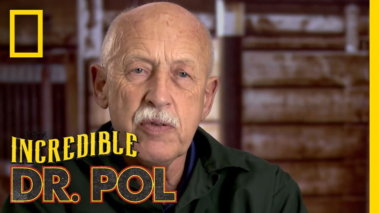 Jeep No More | The Incredible Dr. Pol - YouTube