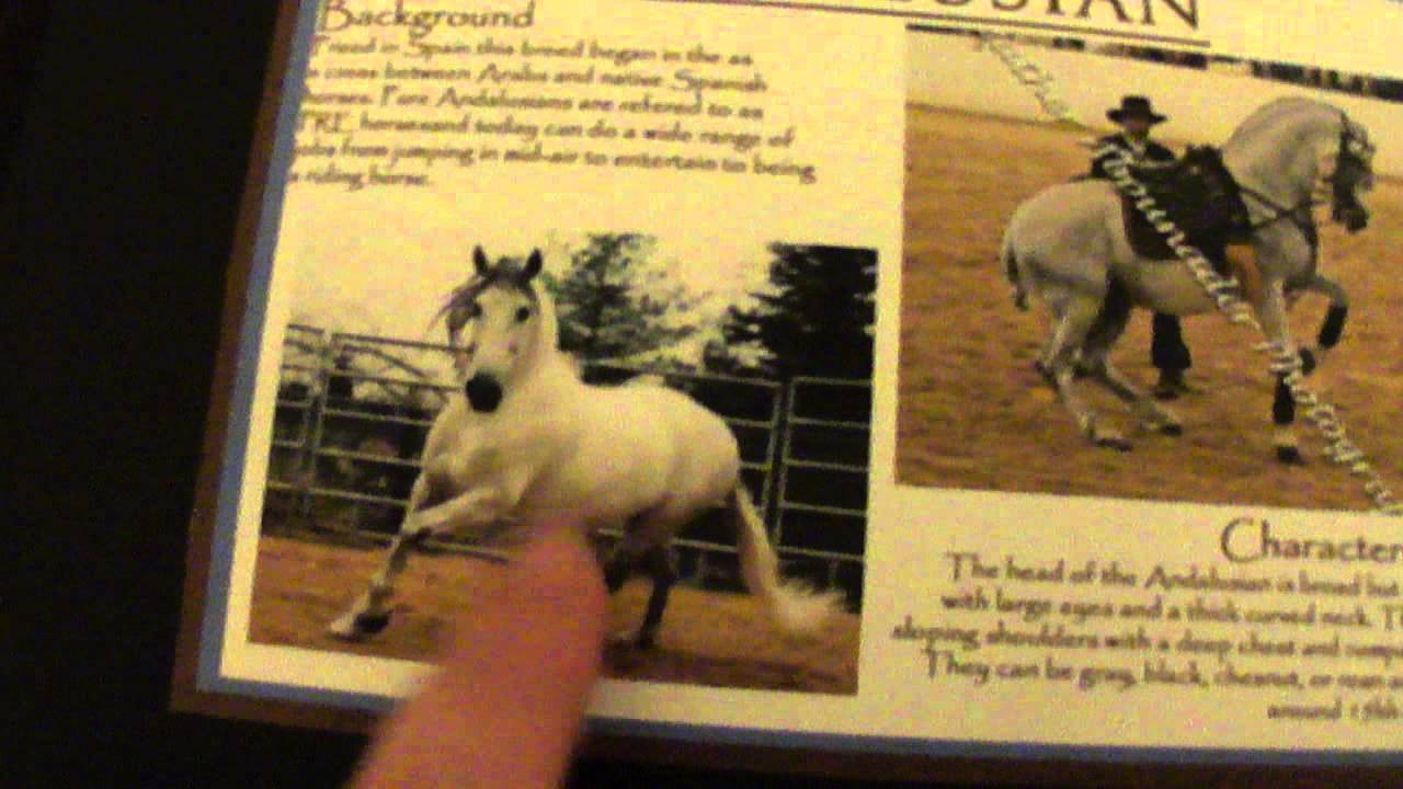 Live Model Horse Show Ultimate Guide and Tips Part 1 - YouTube