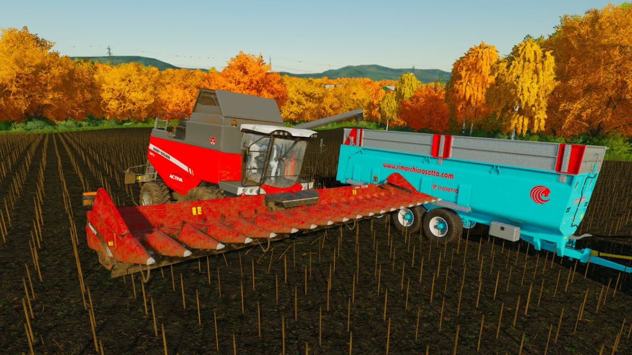 FS22 SUNFLWER AND SOYABINE HARVESTING WITH MASSY COMBINE CARPATHIAN ...