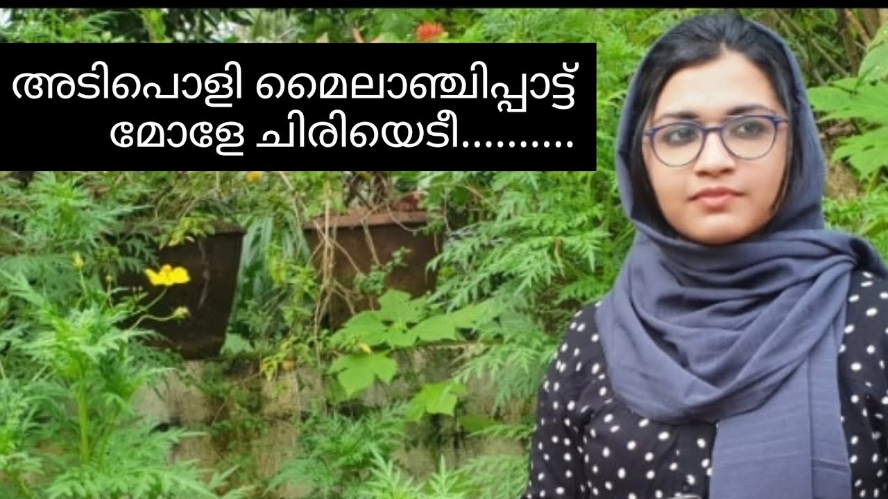 Mole... chiriyedee... | Mailanchi Song | Asna Alappuzha | Music Media Alappuzha - YouTube