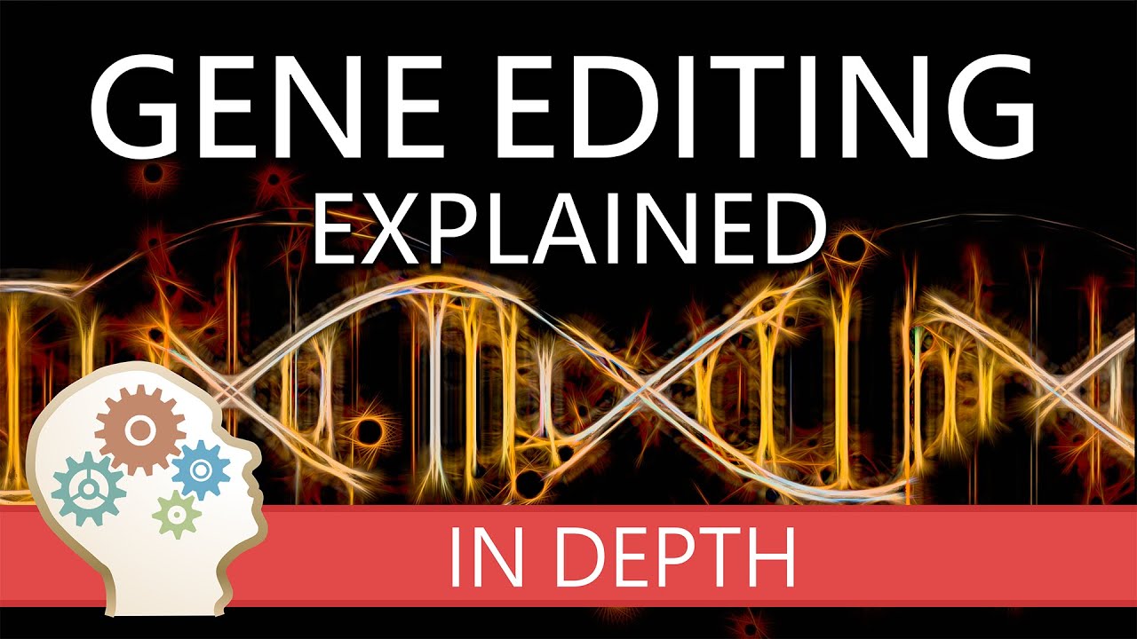 GENE EDITING EXPLAINED! - A comprehensive guide to the principles ...