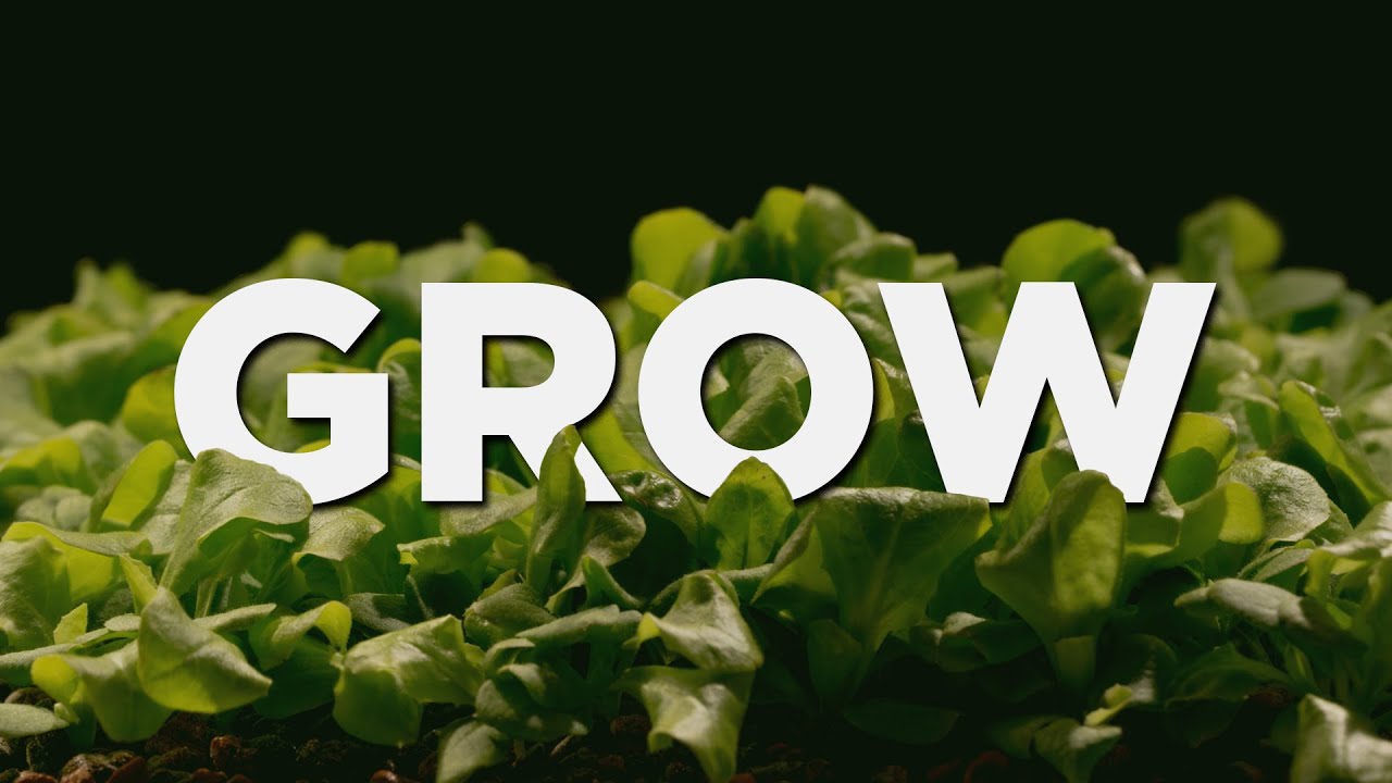 Grow - Part 1 - YouTube