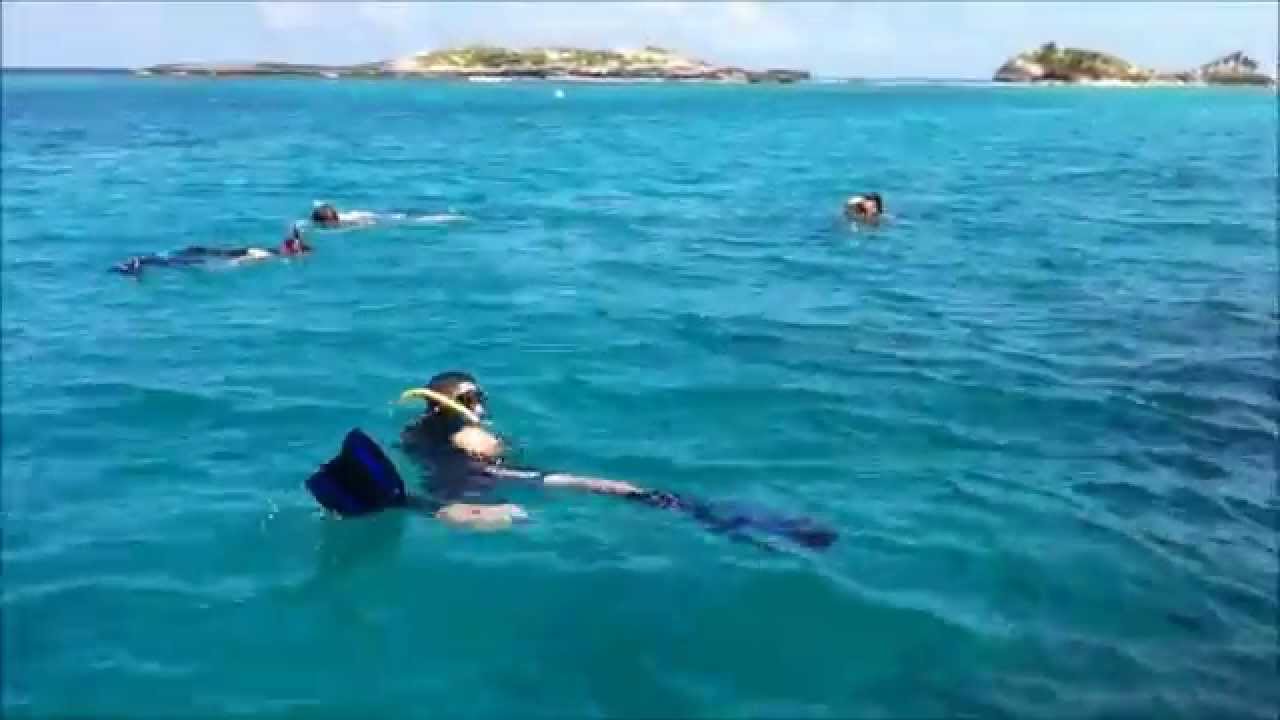 LOS ESCOPETEROS INC DELFIN CAYO LOBOS 23/3/13 - YouTube