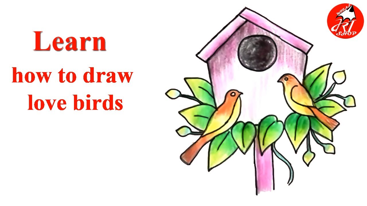how to draw love birds | Love birds drawing easy | - YouTube