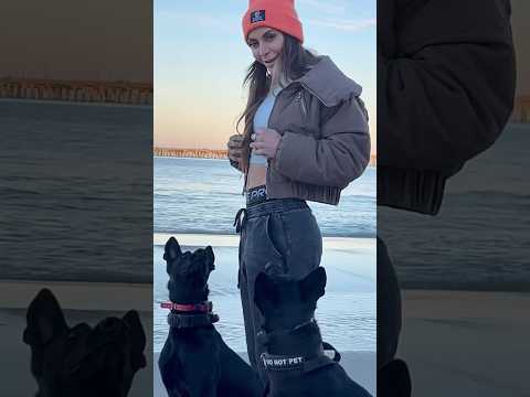 Ashley Horner Fitness – Ashley Horner Fitness Model