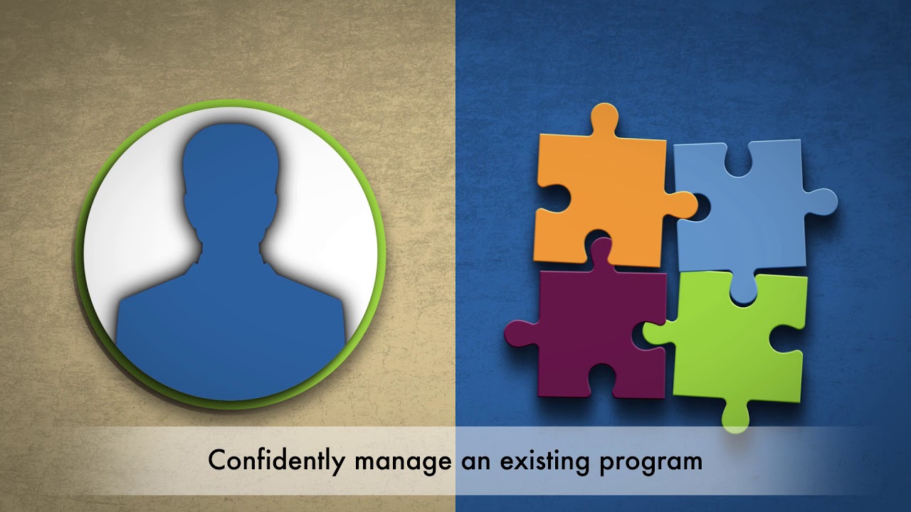 Program Management for Development Professionals (Program D Pro) - YouTube