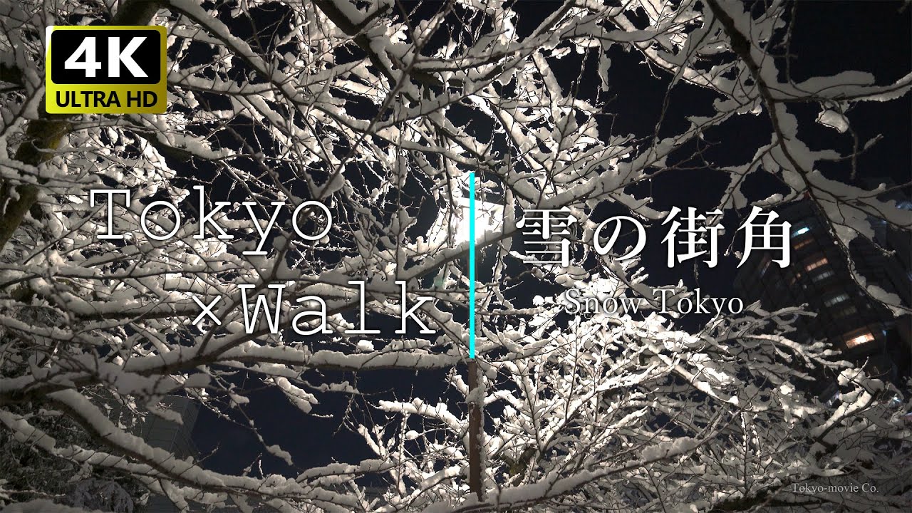 【4K】Tokyo × Walk／雪の街角（Snow Tokyo） - YouTube
