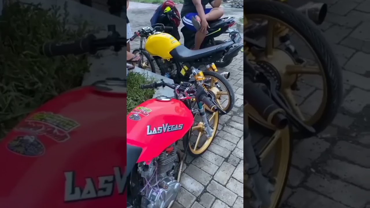 story'wa herex Tiger trondol terbaru - YouTube