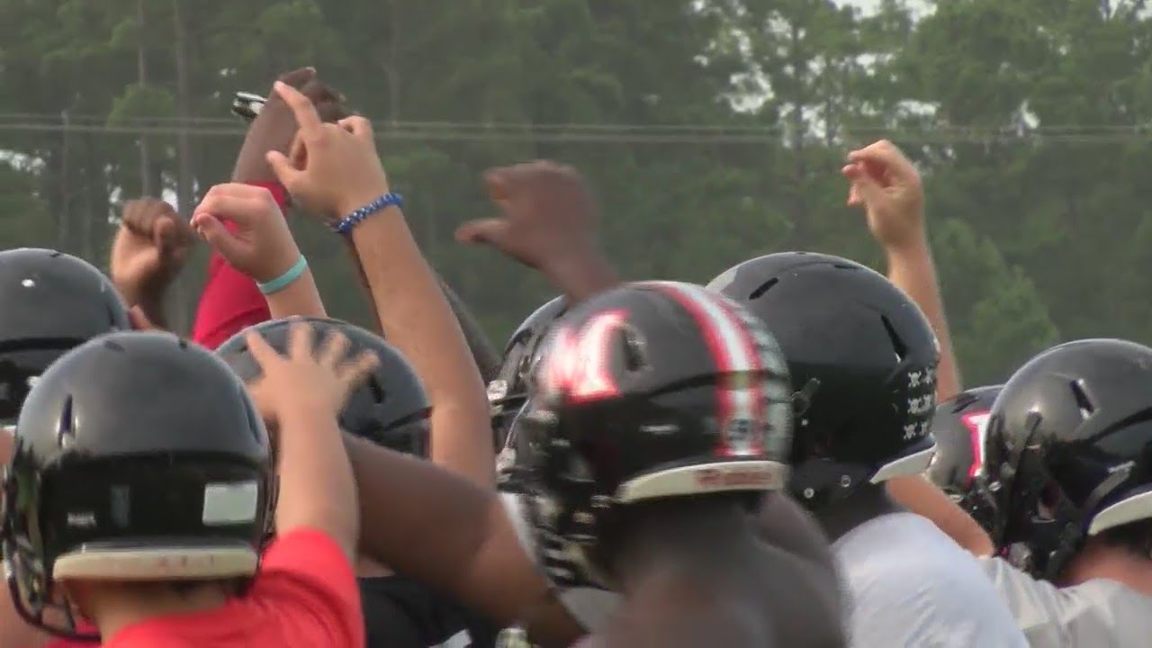 Many Tigers 23 in 23 - YouTube