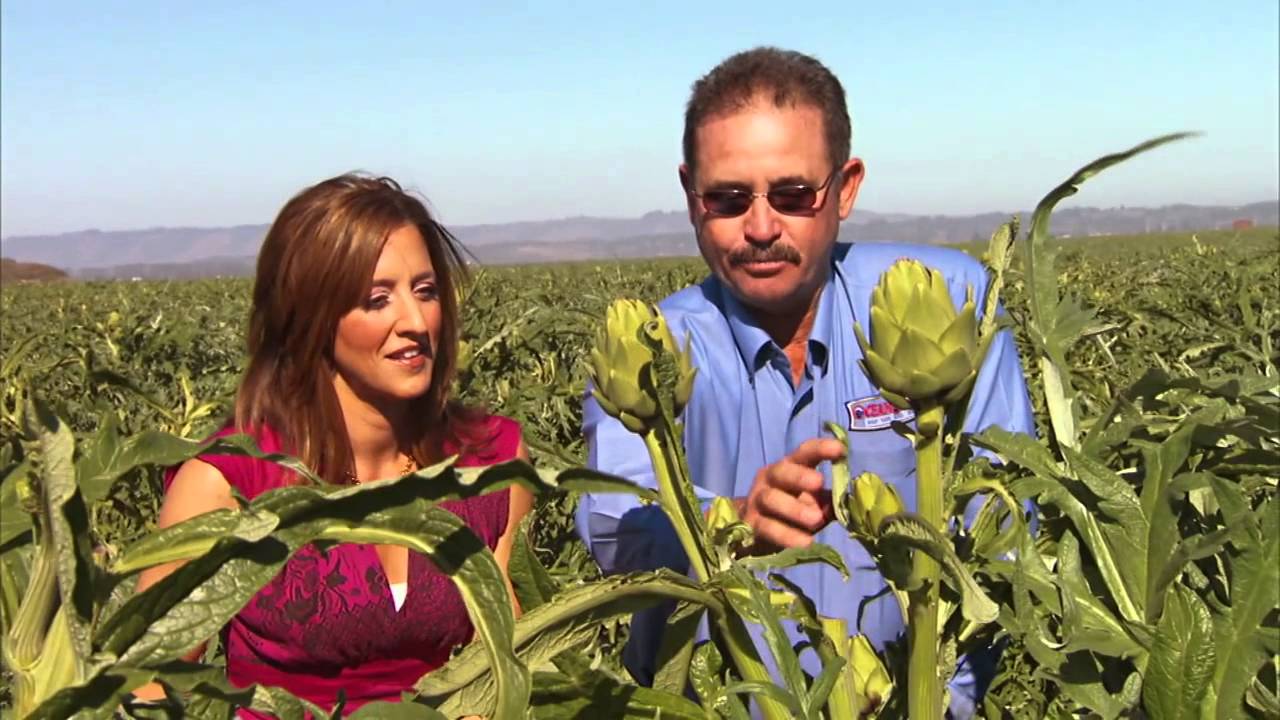 Bringing It Home - Artichoke Grower Dale Huss - YouTube