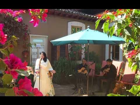 A la luz de los cocuyos ( Cover / Nora Murillo) - YouTube
