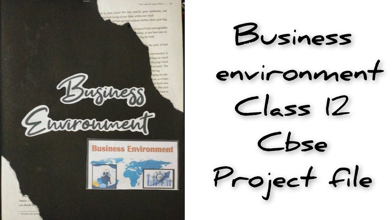 Business studies project file class 12 business environment (women ...
