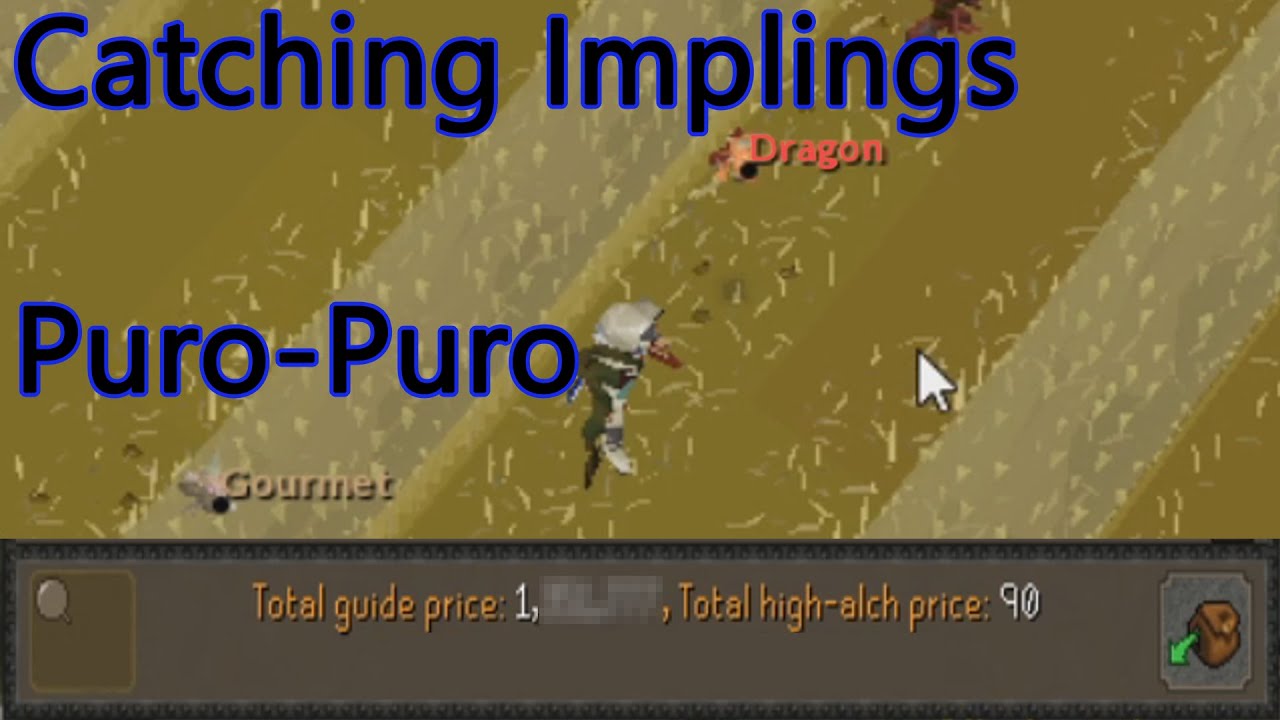 How Much Money Can be Made in 1 Hour at Puro-Puro in OSRS? - YouTube