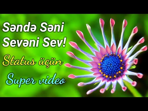 Səndə səni sevəni sev! - ibrətamiz sözlər (status üçün)