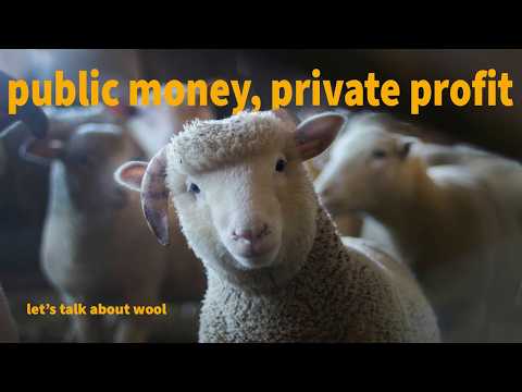 the impact of wool // the reality of ethical, natural, and regenerative wool