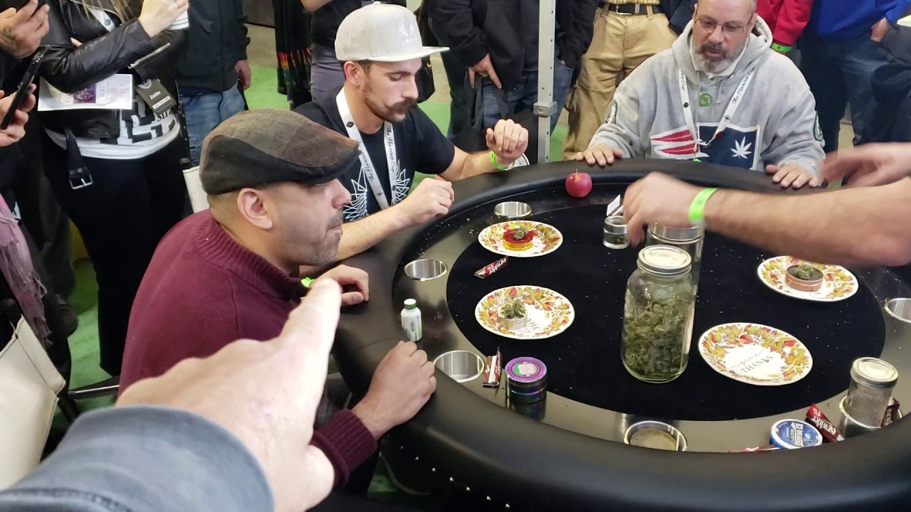 Beantown Greentown Joint rolling competition starring 3 monkeys Garden ...