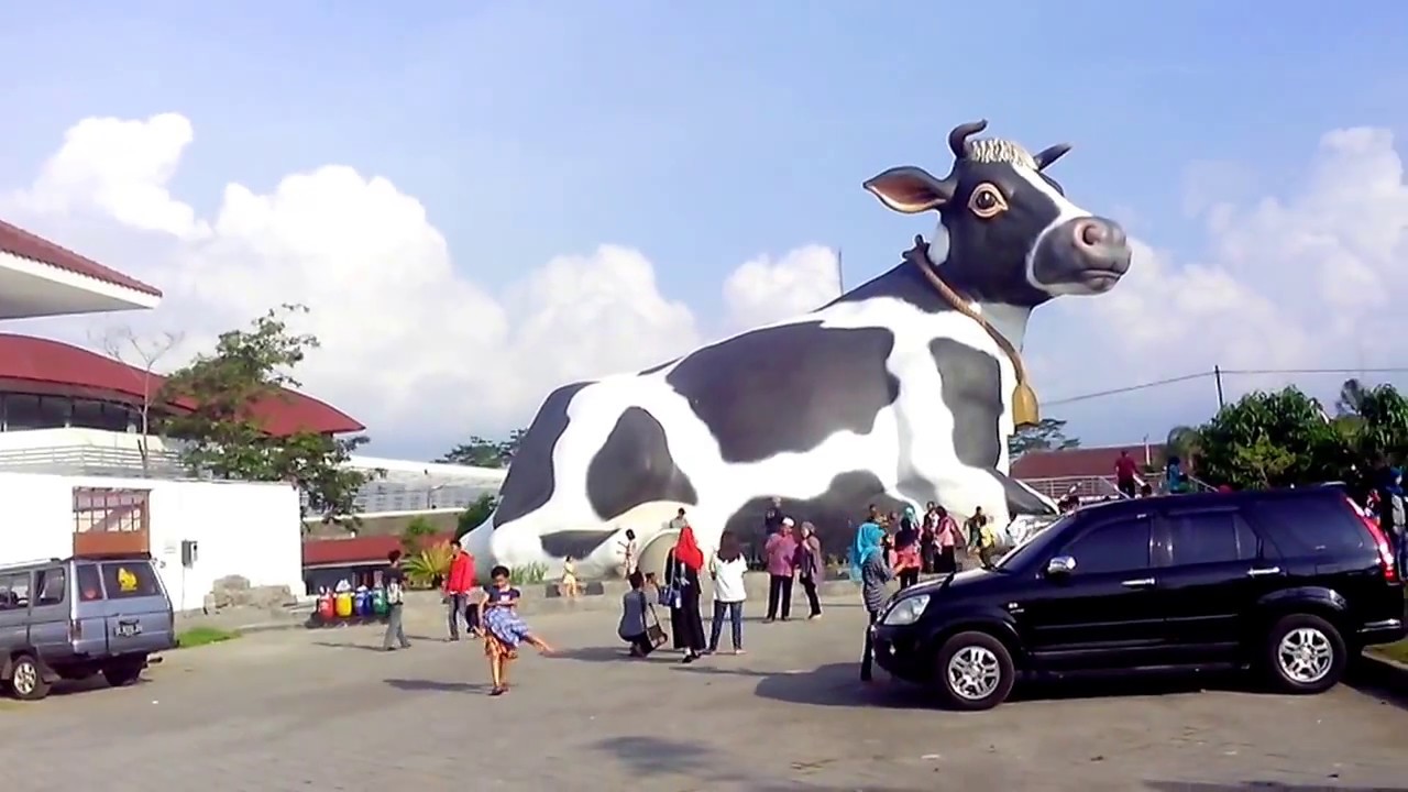 Inilah Patung Sapi Terbesar DiDunia : Lembu Suro - YouTube
