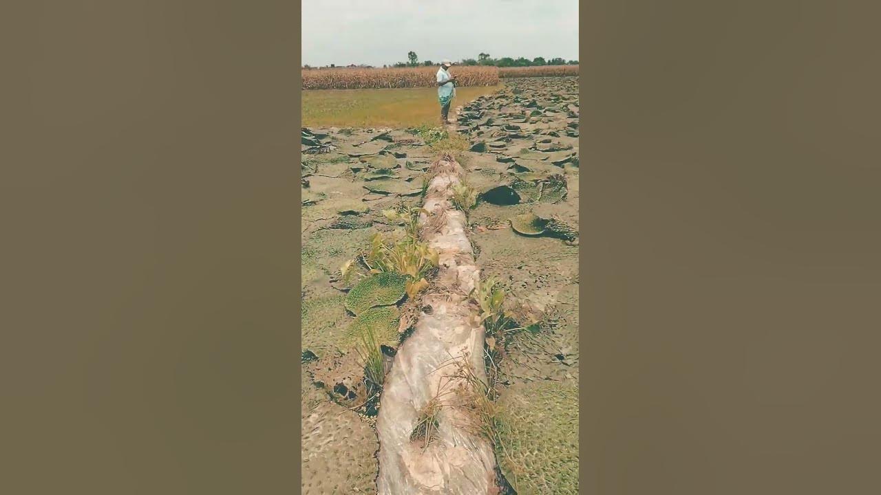 May 22, 2025 - YouTube