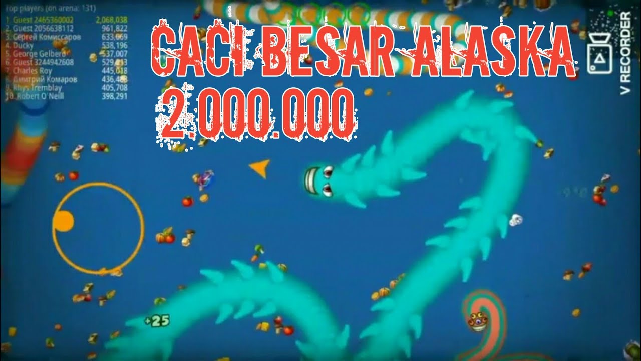 Worms zone: CACING BESAR ALASKA!! - YouTube