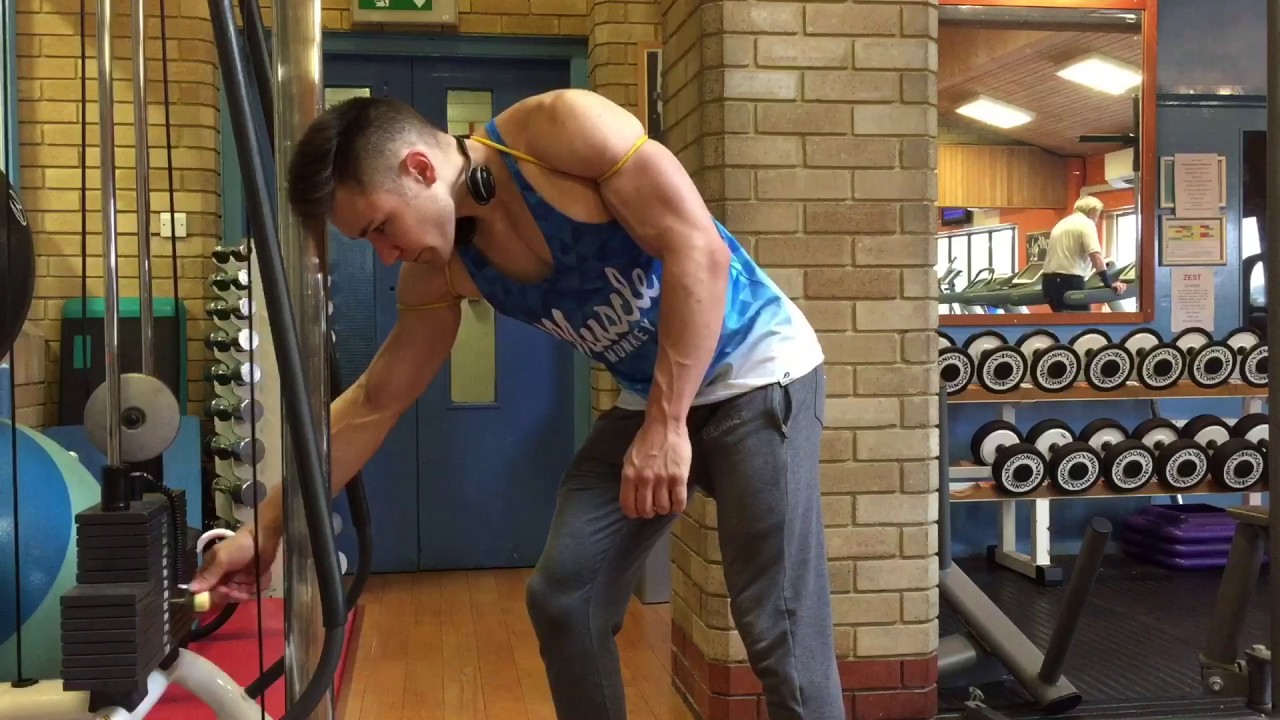 Shredded Shoulders Workout | Occlusion Triceps work - YouTube
