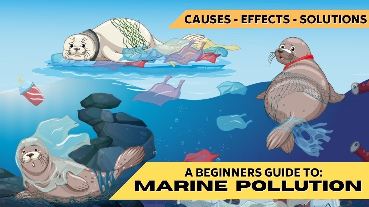 What Causes Marine Pollution
