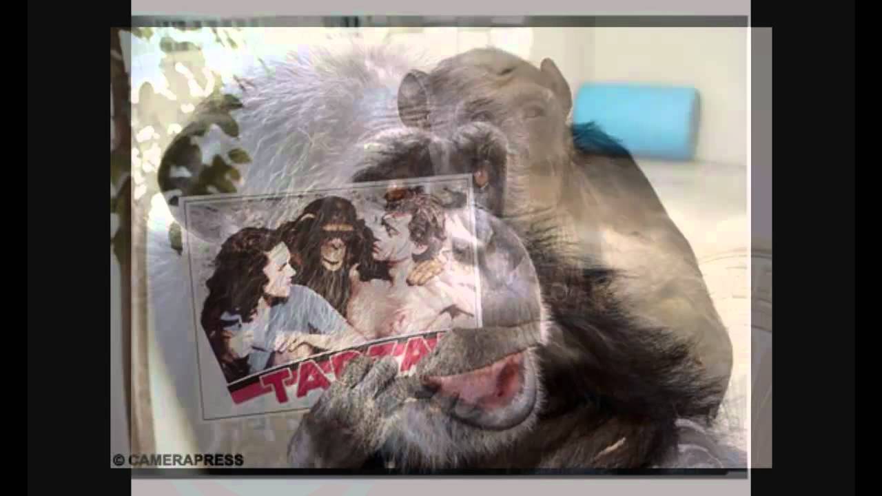 HOMENAJE A CHITA - LA MONA DE TARZAN - YouTube