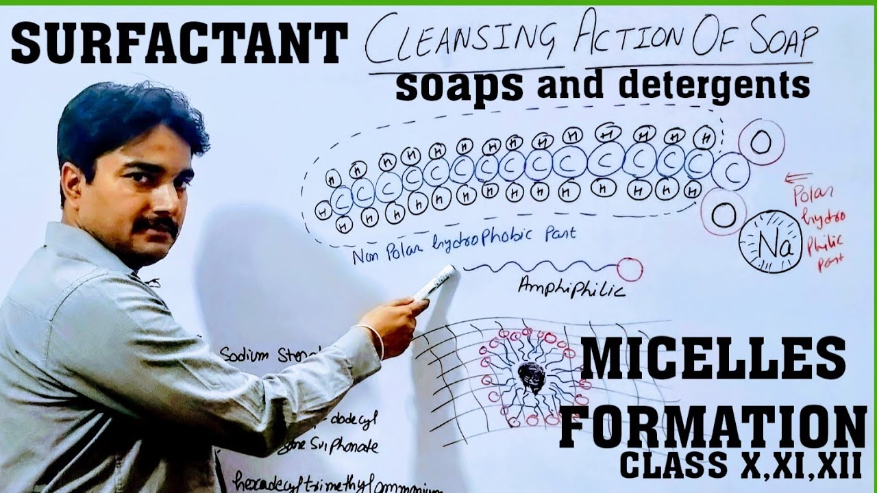 Micelles Formation Cleansing Action Of Soaps And Detergents