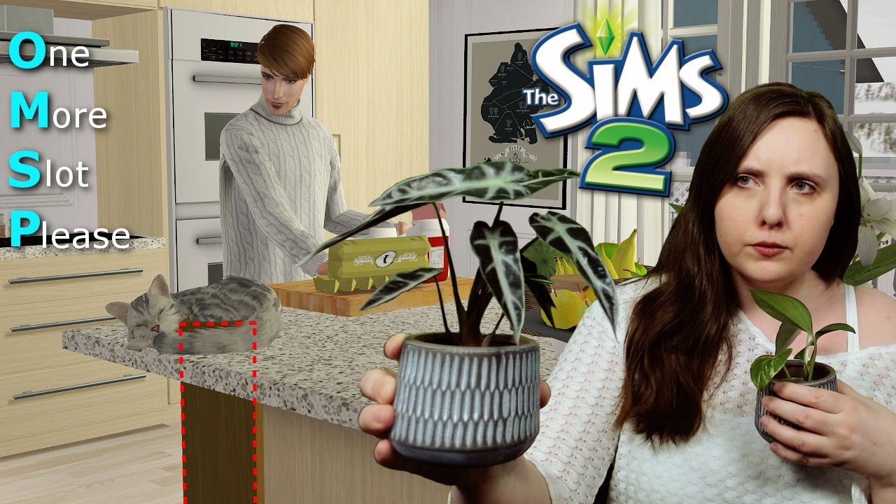 OMSPs! How to decorate, add clutter and make your builds cat friendly 😻 ...