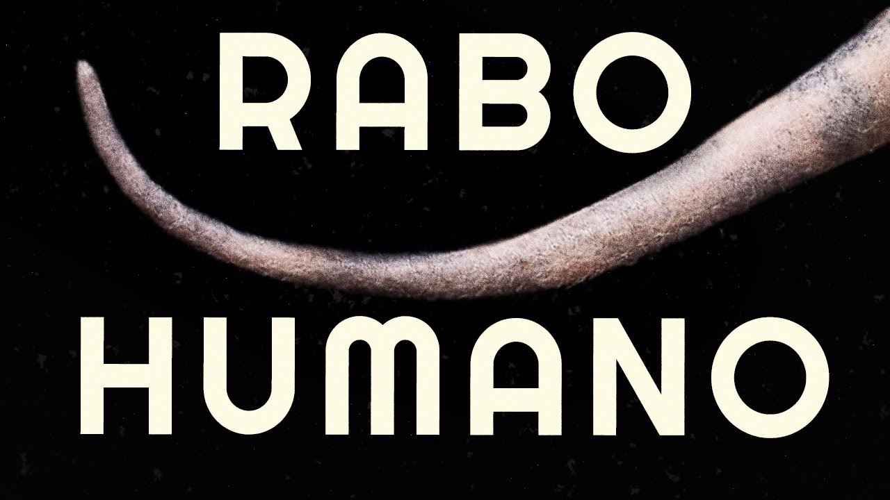 por que PESSOAS têm CAUDA? - YouTube