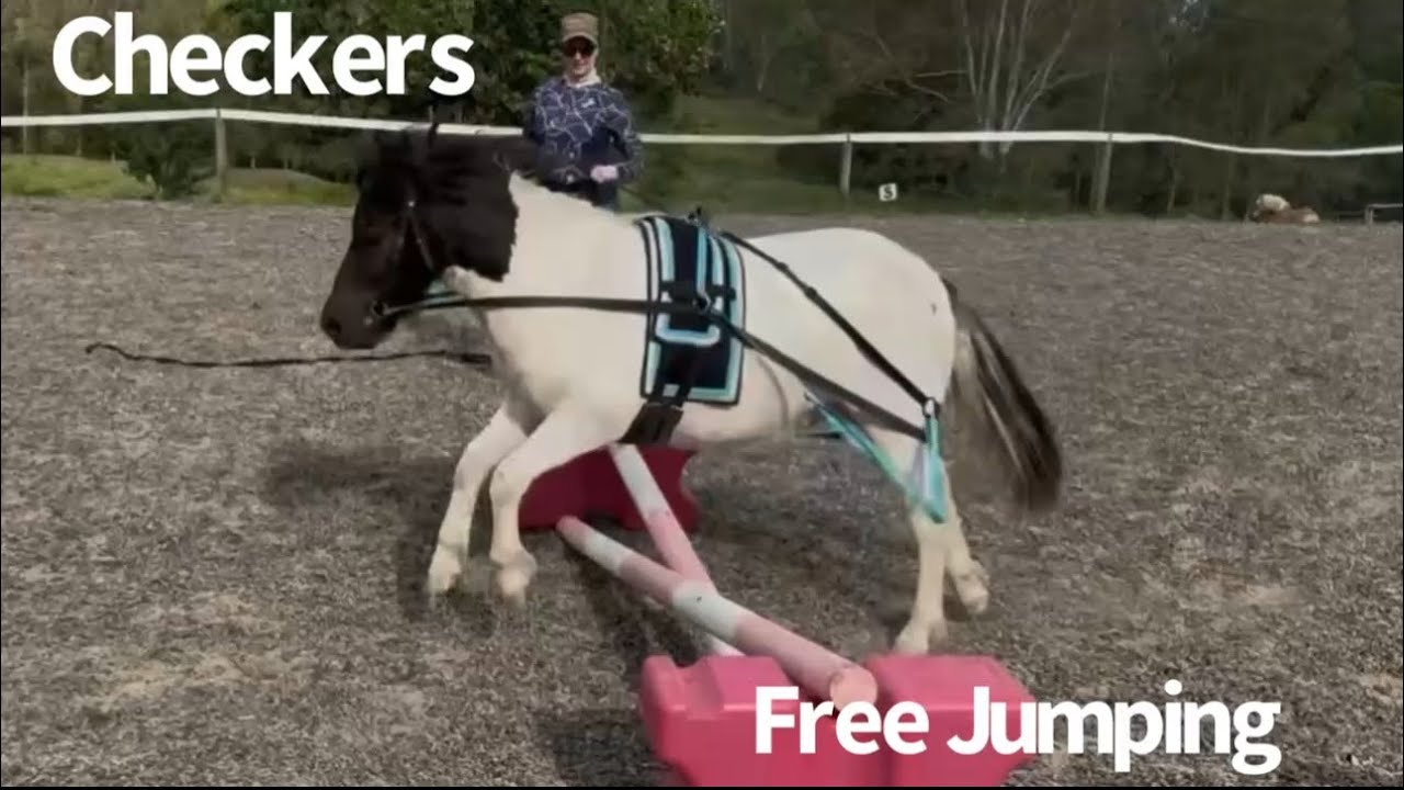 Checkers - Free Jumping - YouTube