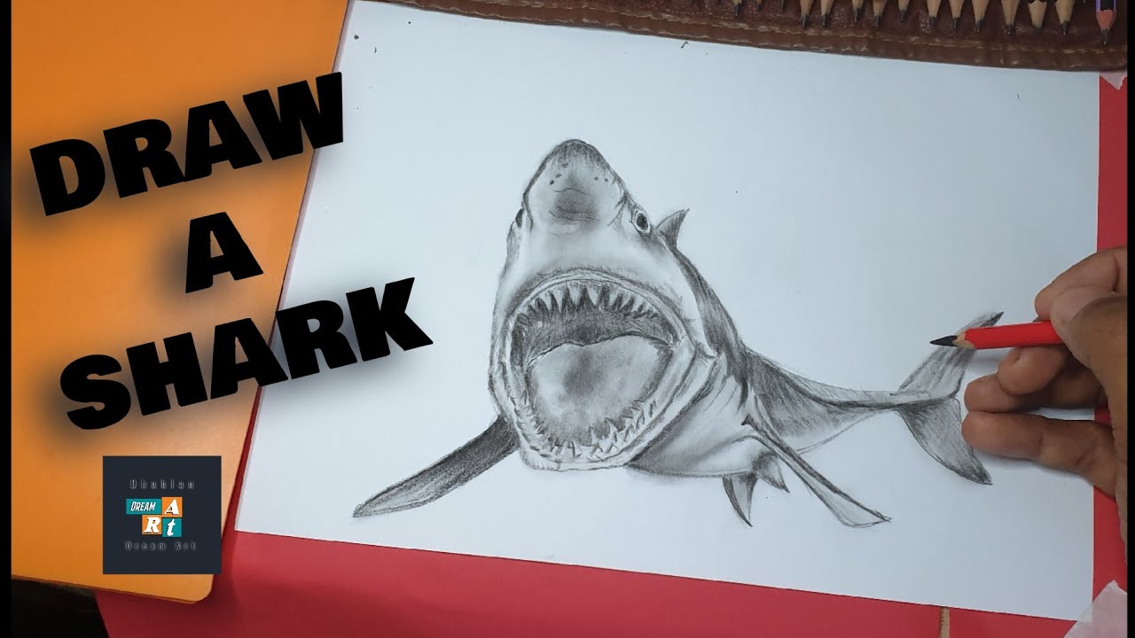 how to draw a shark|| pencil art ||Dream art DST - YouTube