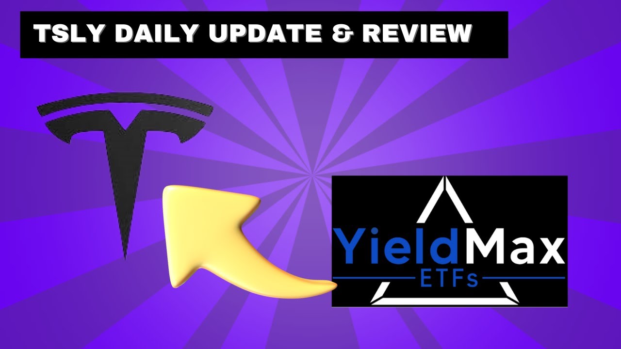 YIELDMAX: (TSLA) TSLY Review and Update (2024) - YouTube