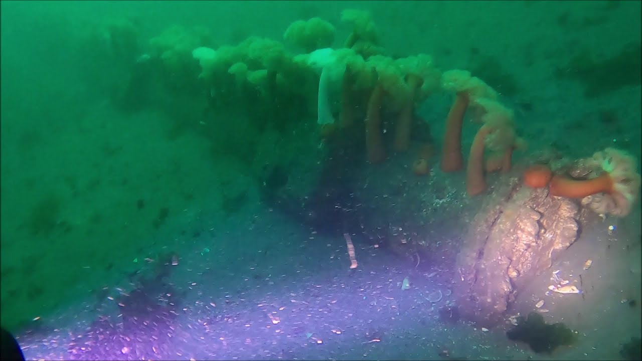 20200901 End of Sunnyside Pipe Dive - Final WA Dive - YouTube
