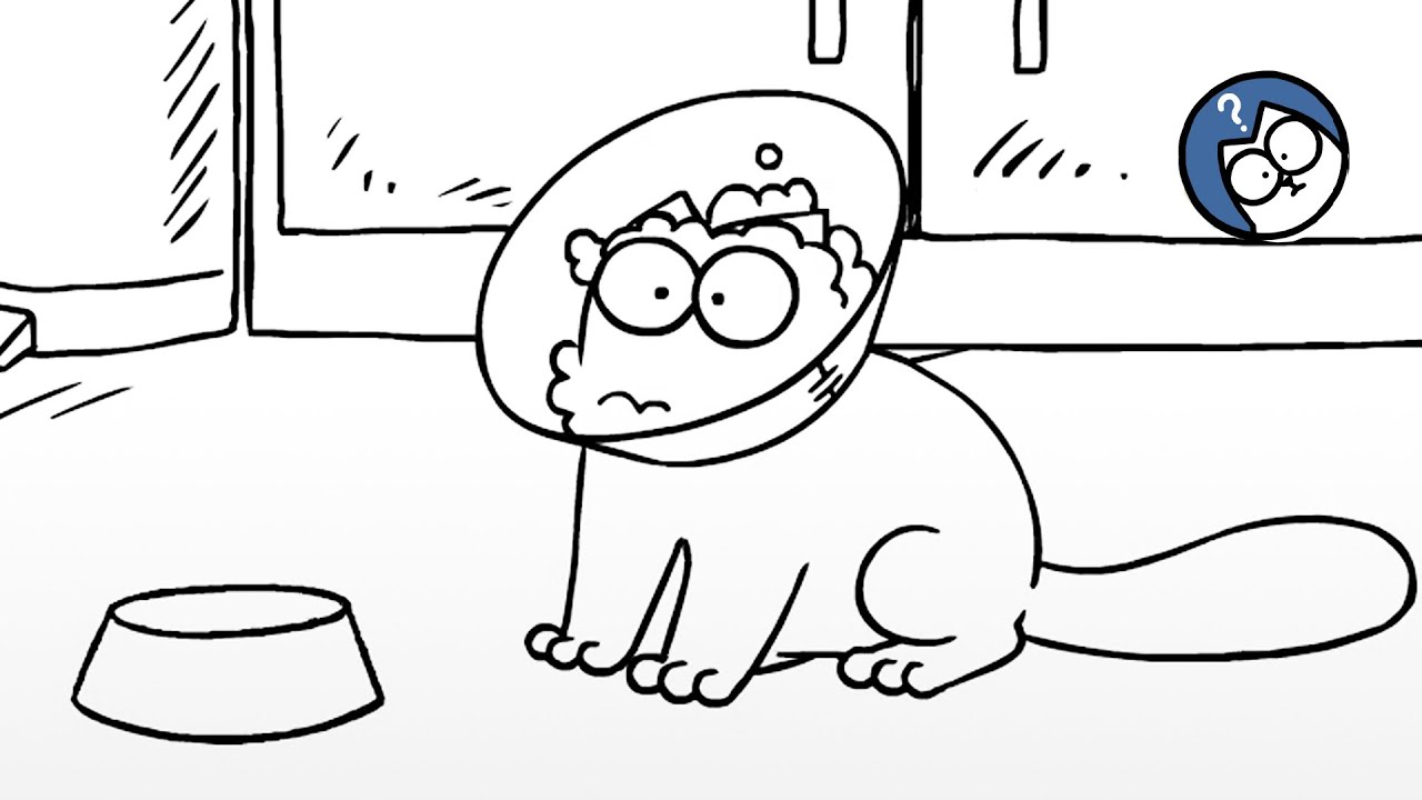I Can't Eat my Food! | Simon's Cat Extra - YouTube