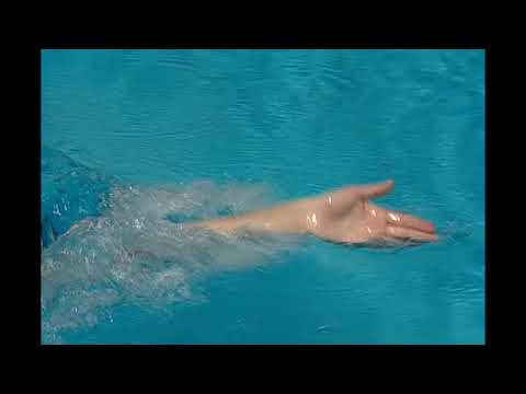 back crawl+remix - YouTube