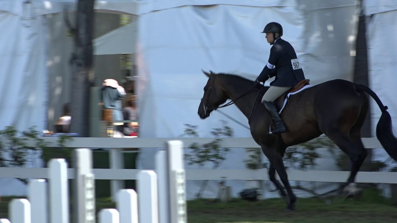 502 - Virginia Fout - Carma - YouTube