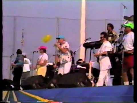 Beach Boys in Buffalo (Pilot Field 1989) - YouTube