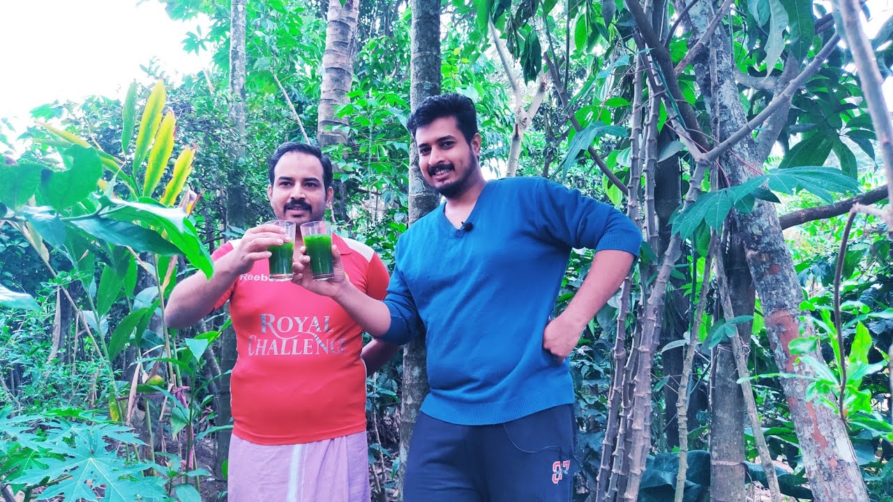 പ്രമേഹം ഇനി വേണ്ട / ഇവൻഉണ്ടായാൽ മതി chittamruthu benefits / ചിറ്റമൃത് ...