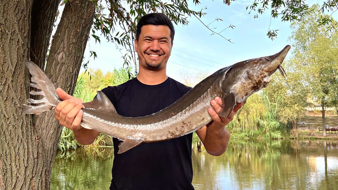 Amazing Sturgeon Fish Preparation | A delicious recipe for barbecue ...
