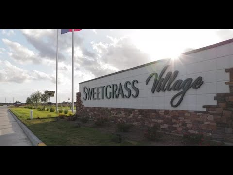 Texas Sweetgrass