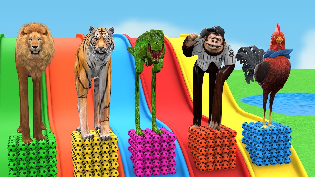 Long Slide play With Elephant Gorilla Buffalo Hippopotamus || lion play ...
