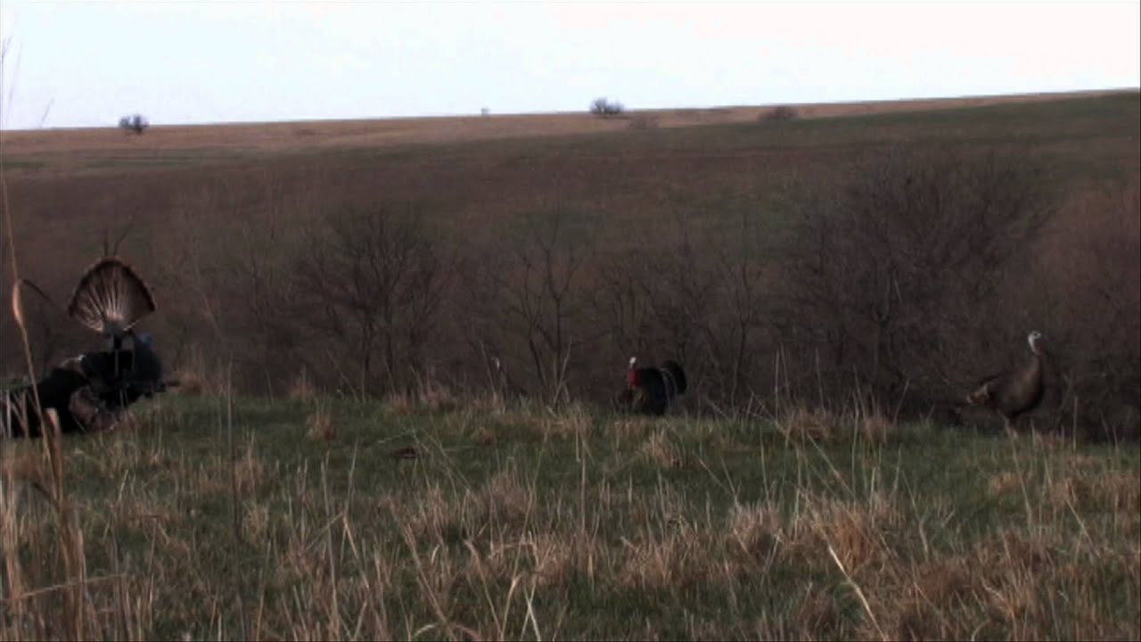 Intro to Turkey Reaper DVD 2013 Season - YouTube