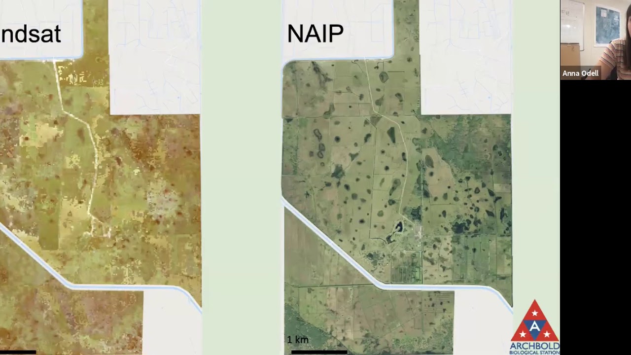 ‘Applications of Satellite and Airborne Remote Sensing...,' with Agro ...