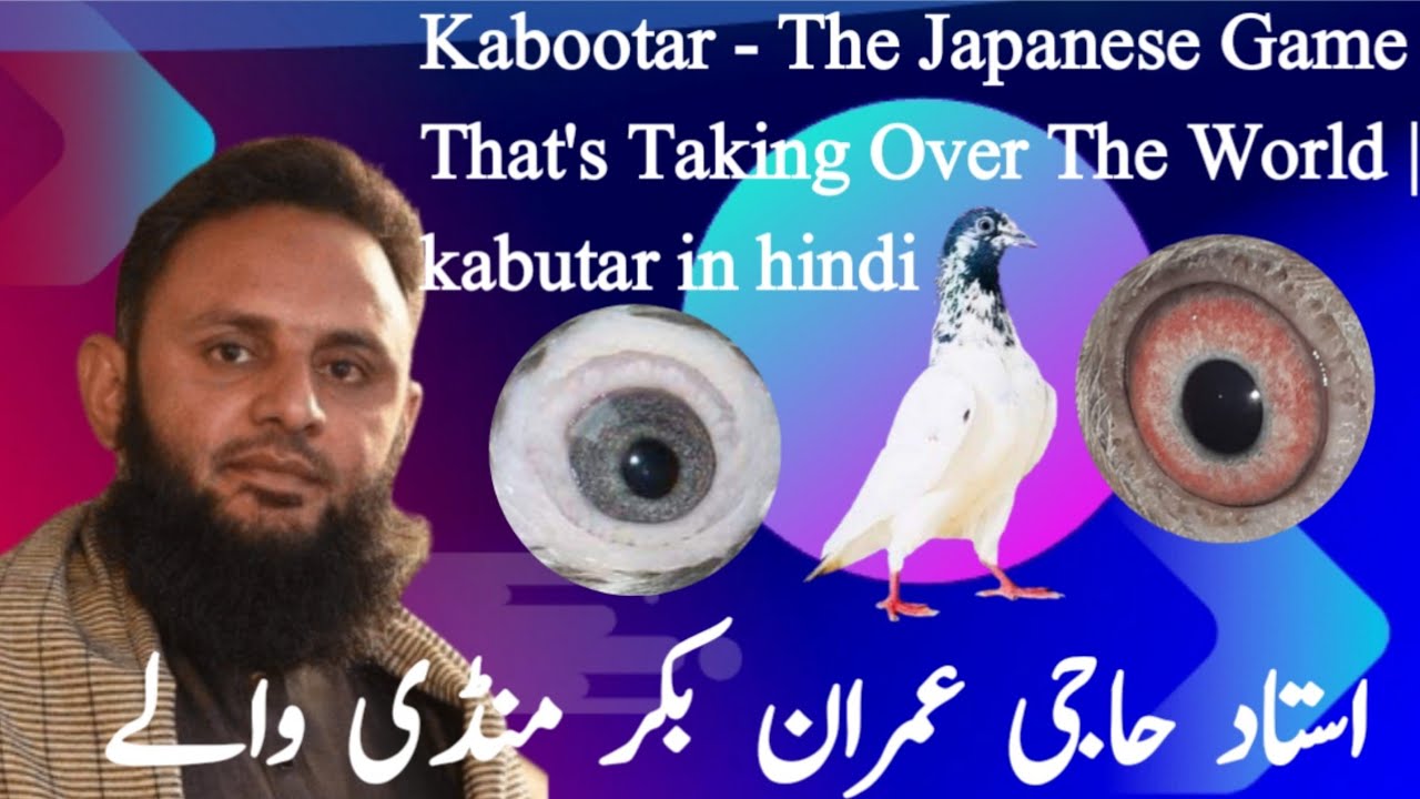 Kabootar - The Japanese Game That's Taking Over The World | kabutar in ...
