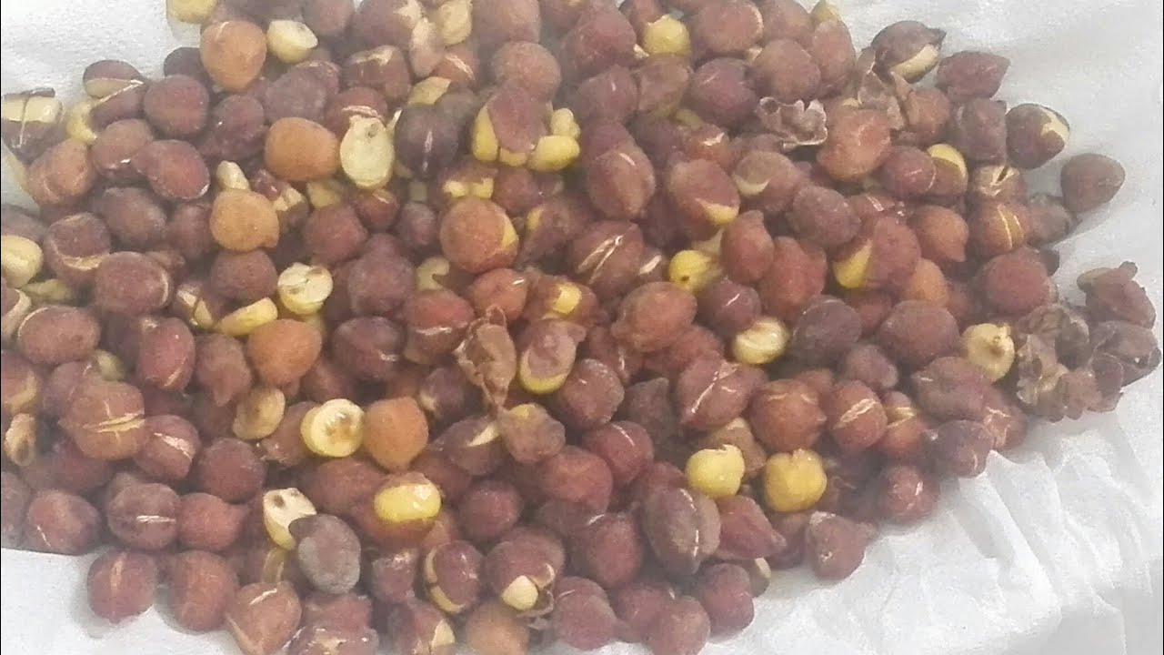Bhanay Kaly Chany Simple Recipe by Mrs. Jawed. - YouTube