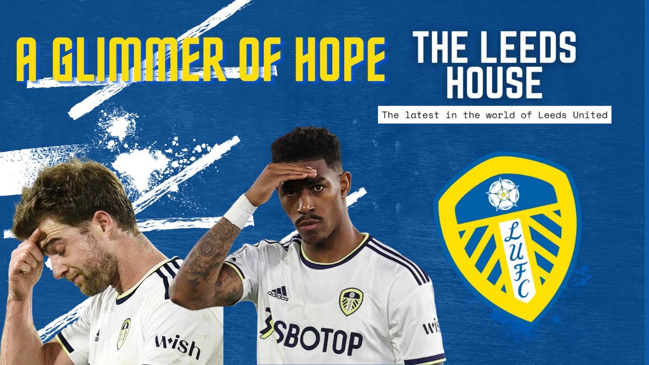 A Glimmer of hope. Leeds 2-2 Newcastle. Battling performance but is it ...