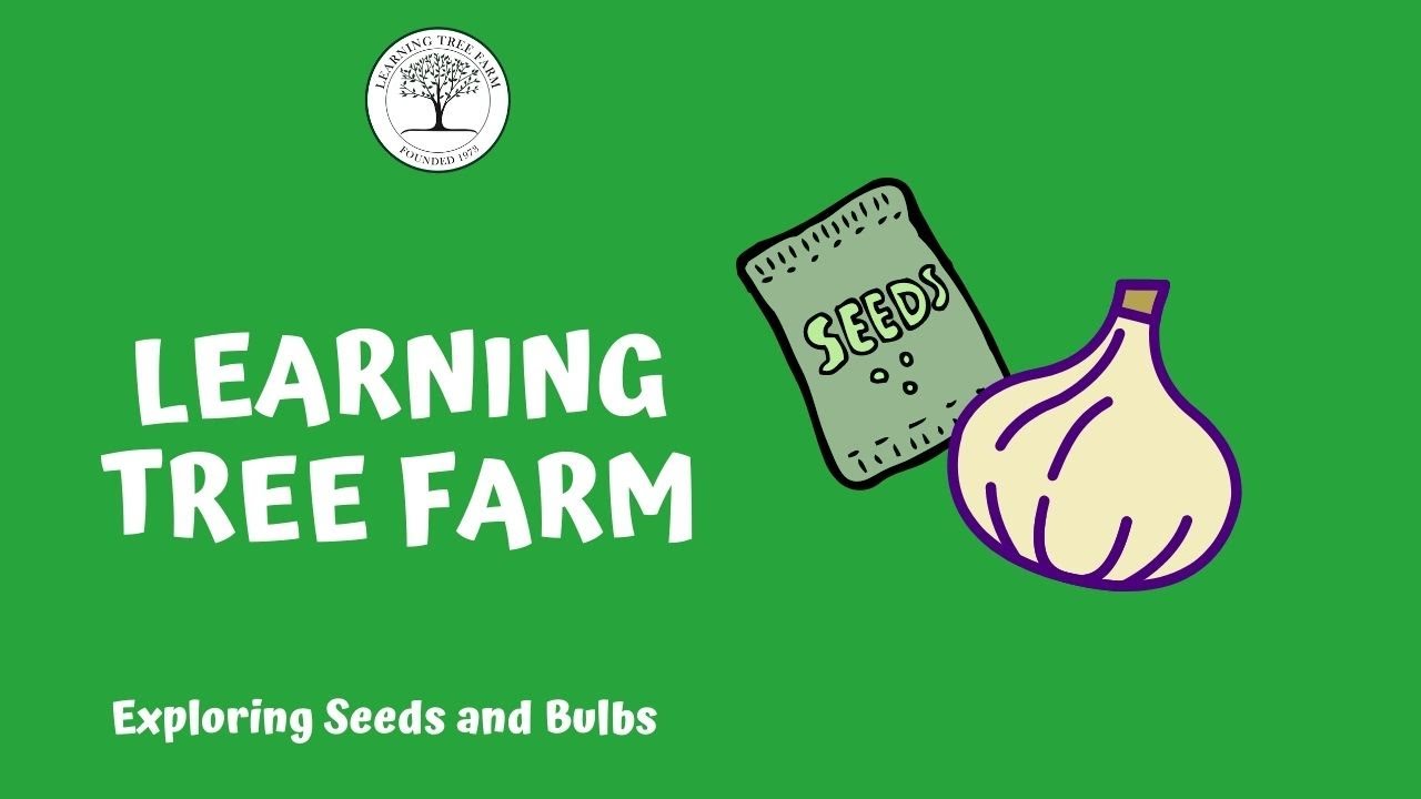 Exploring Seeds and Bulbs | Learning Tree Farm - YouTube