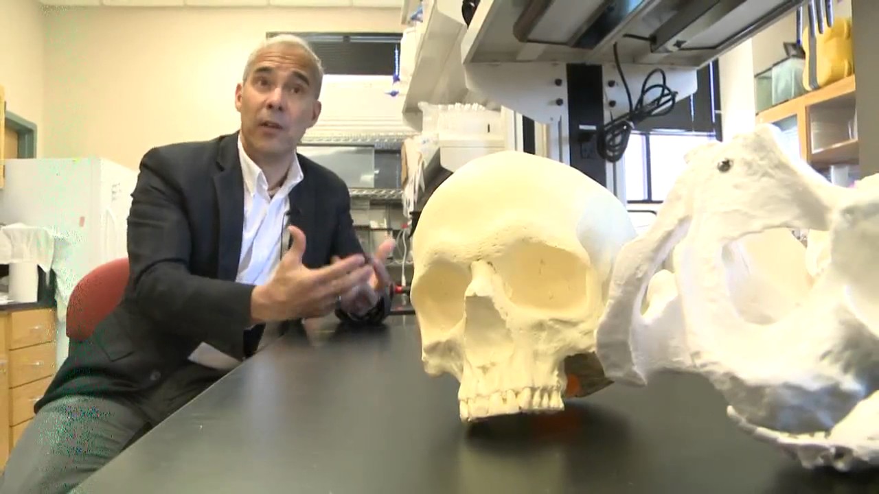 The stages of identifying human remains - YouTube